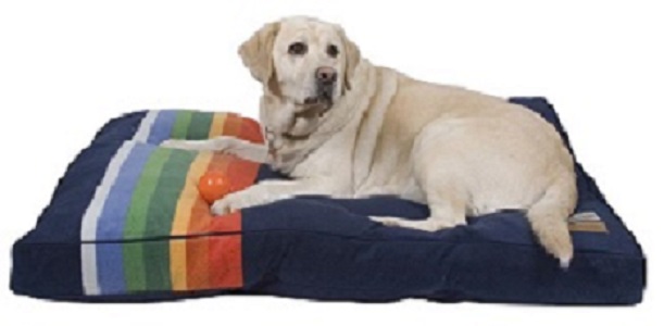 Bed Image Lll My Wholesome Pet